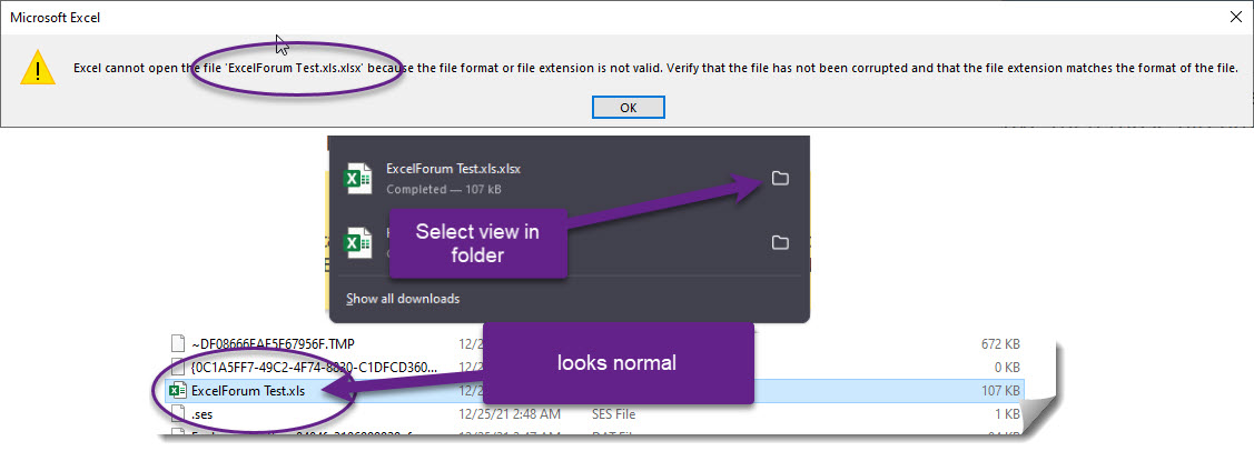 Cannot open .xls files from the Forum Cannot open .xls files from the Forum
